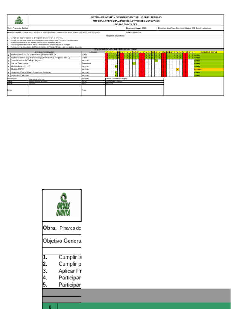 Programa de Actividades Protocolo Minsal | PDF