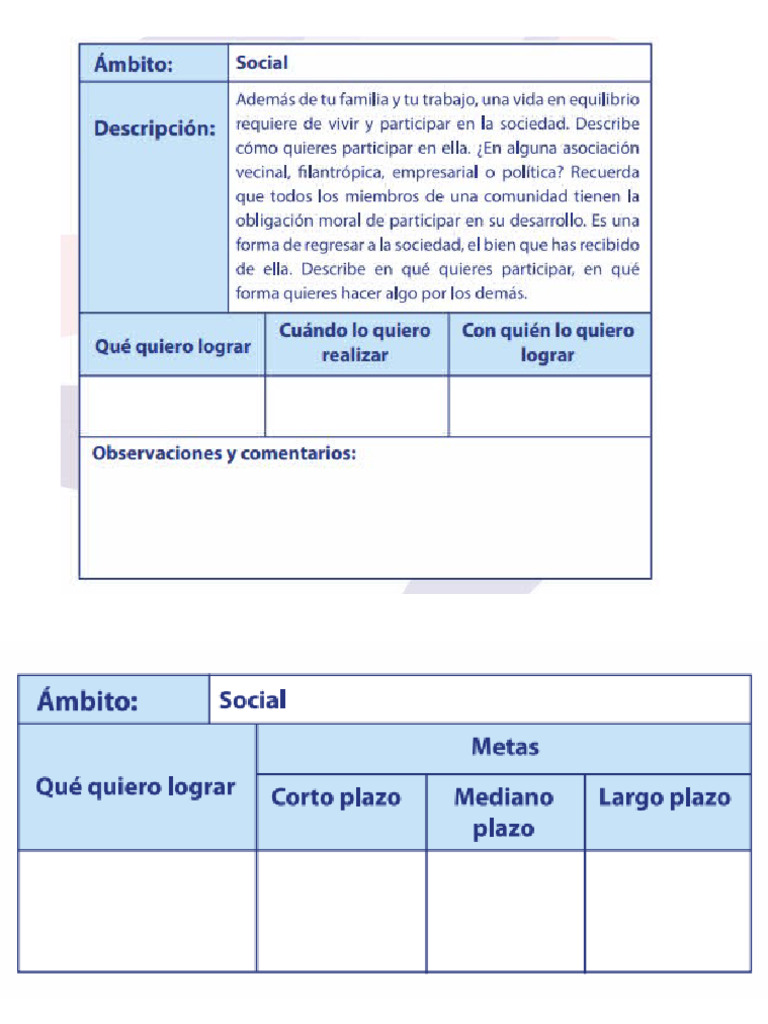 Formatos de Metas | PDF