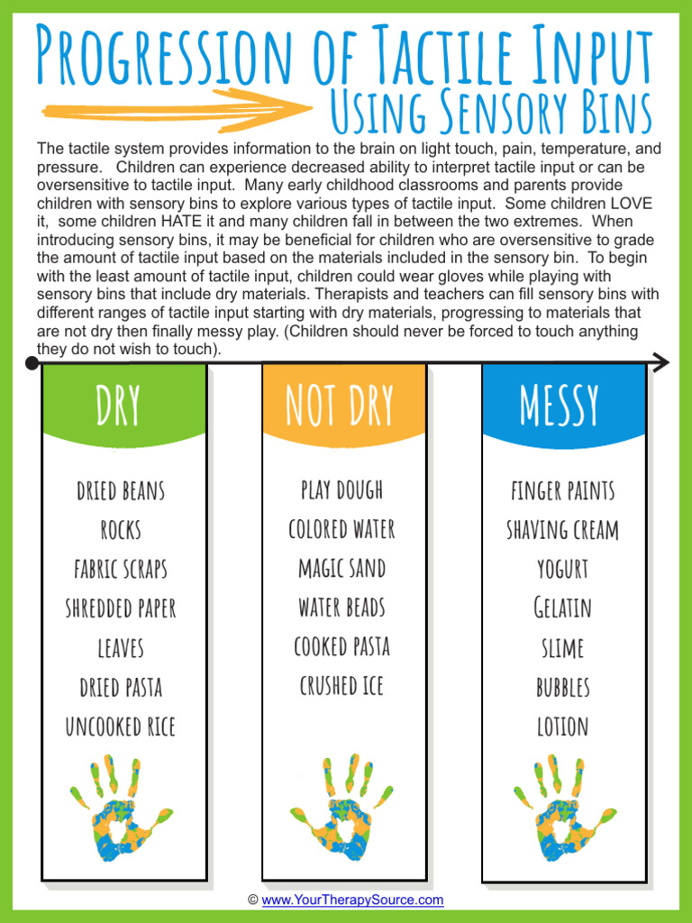 Progression of Tactile Input Using Sensory Bins Hand Out | PDF