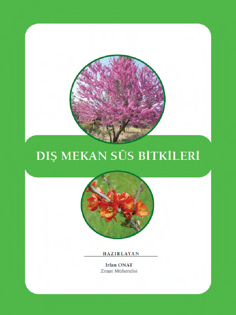 Dış Mekan Süs Bitkileri | PDF
