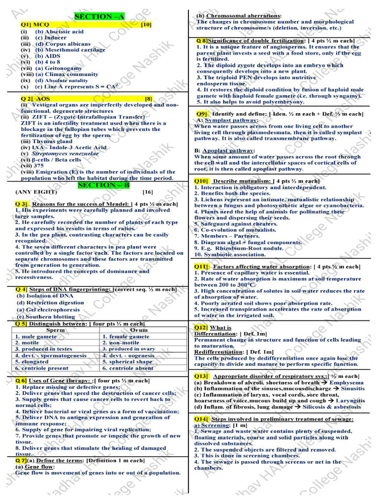 BIO Model Ans 2024 | PDF