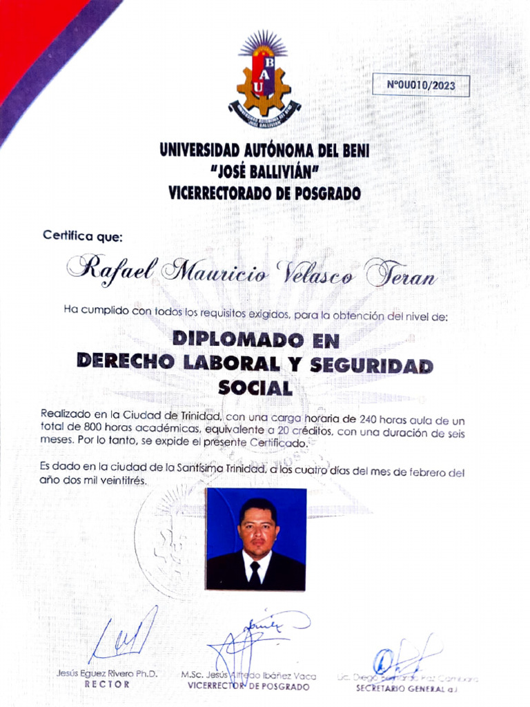 Diplomado Laboral | PDF