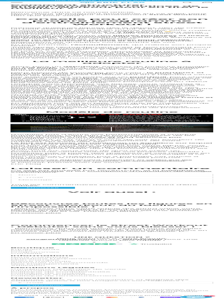 Eric Flag - Structurer Ses Entraînements Et Routines de Street Workout ...