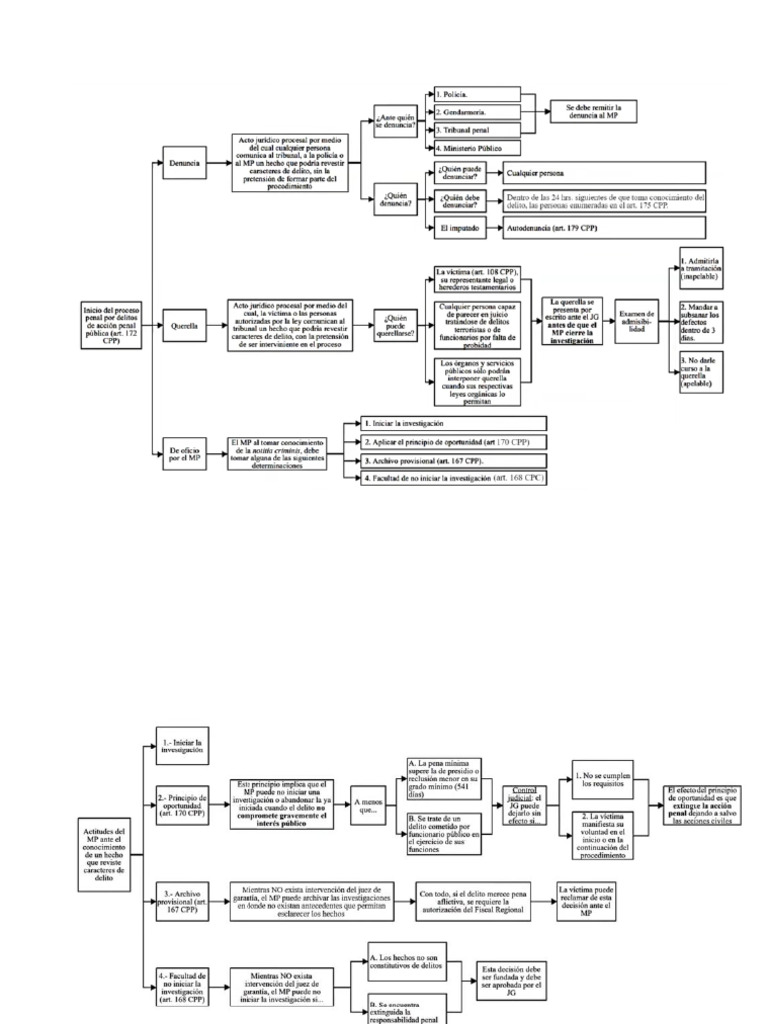 Esquemas Proce Penal | PDF