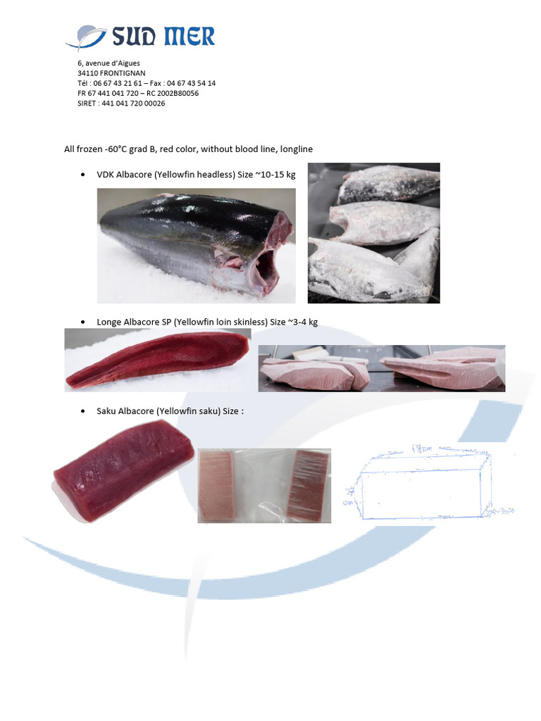 Papier Poisson Nurk | PDF