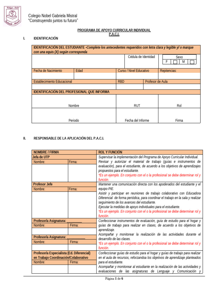PACI Ejemplo Formato | PDF