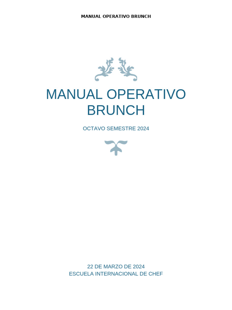 Manual Operativo Bueno | PDF
