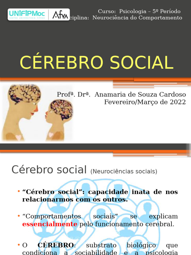 Cérebro Social 2022 | PDF