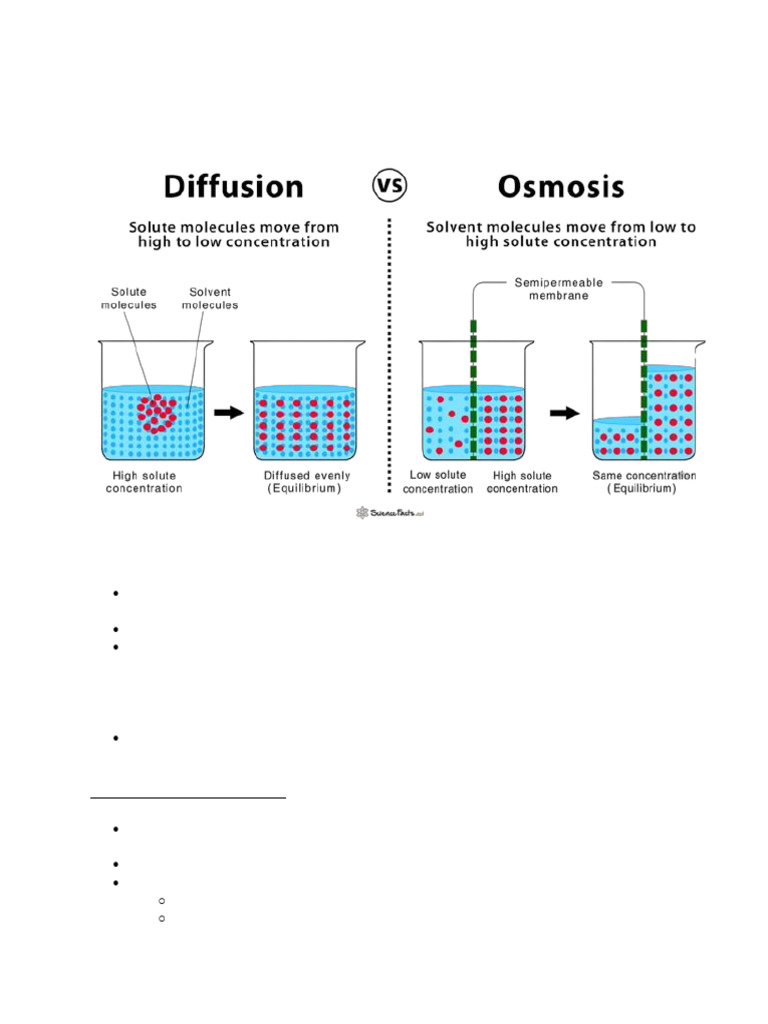 Cell Movement: Diffusion & Osmosis Explained | PDF | Diffusion | Osmosis