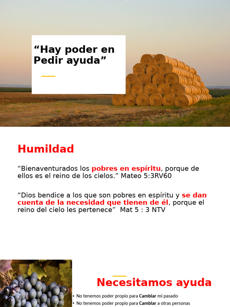 Pedir Ayuda | PDF