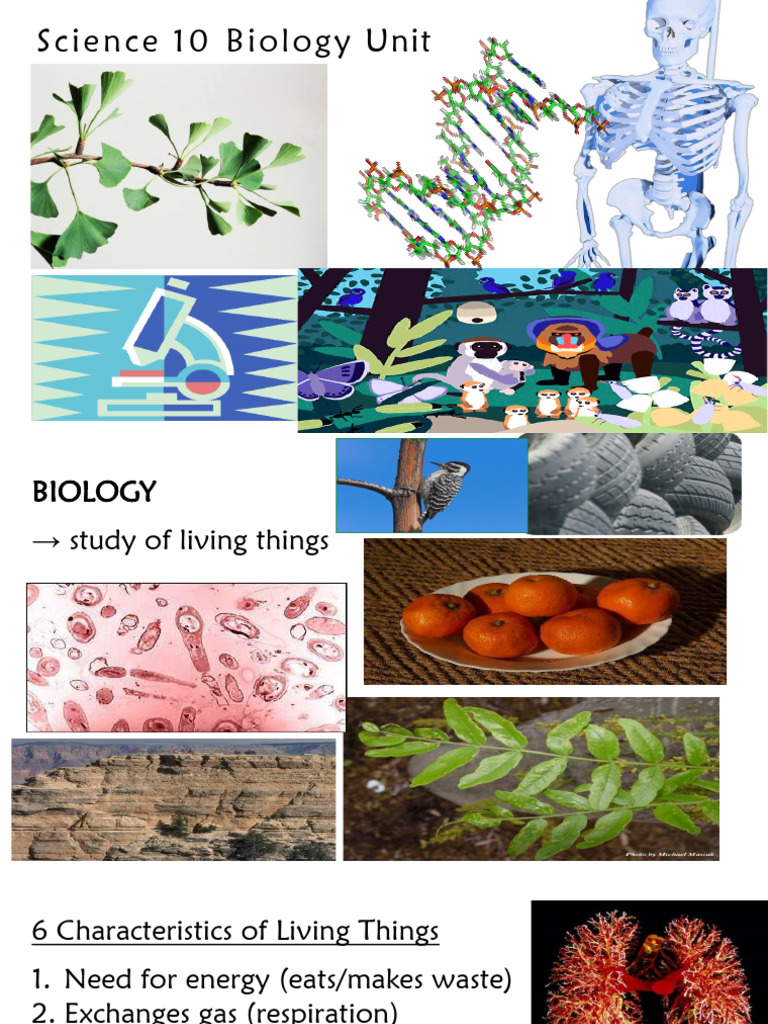Science 10 Biology Unit Complete To Present Rev Tim 2024 | PDF