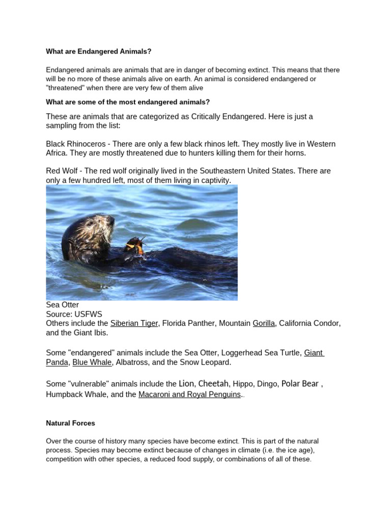What Are Endangered Animals | PDF