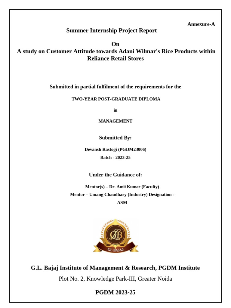 Summer Internship Project Report | PDF