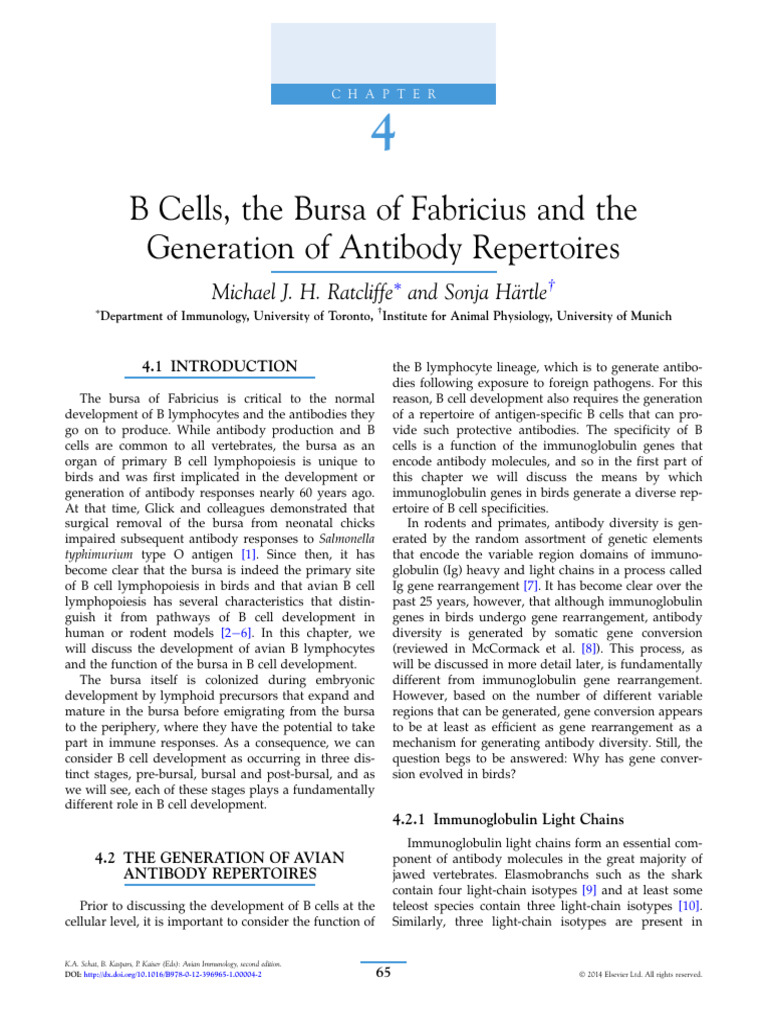 Chapter 4 | PDF