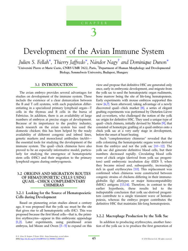 Chapter 3 | PDF