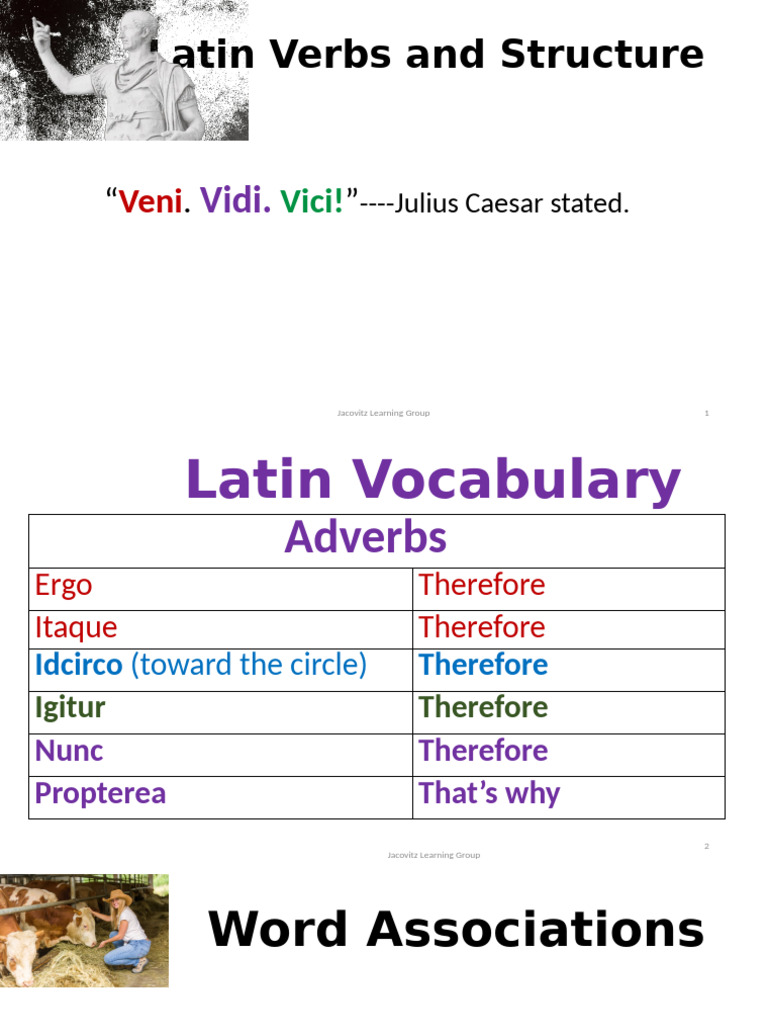 Latin Verbs and Structure Part 3 | PDF | Language Arts & Discipline