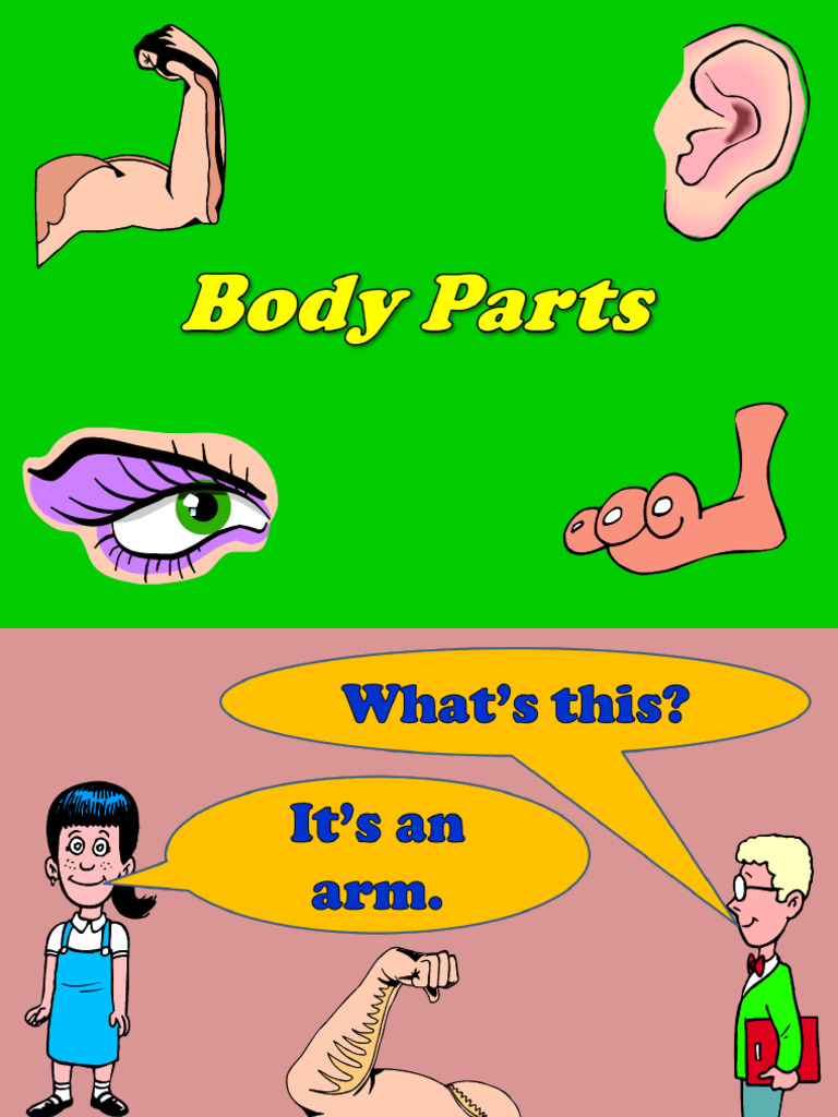 Body Parts Powerpoint | PDF