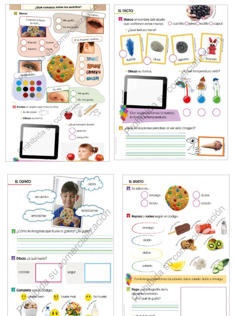 Ciencias Naturales Los 5 Sentidos | PDF