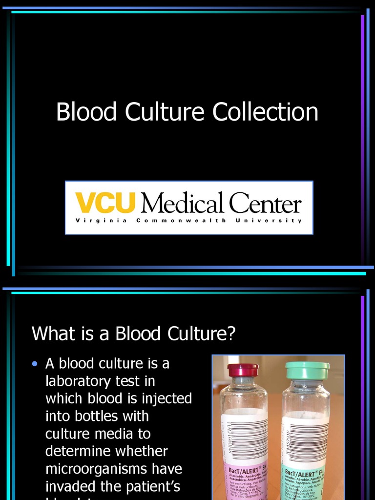Blood Culture Collection | PDF | Clinical Pathology | Microbiology