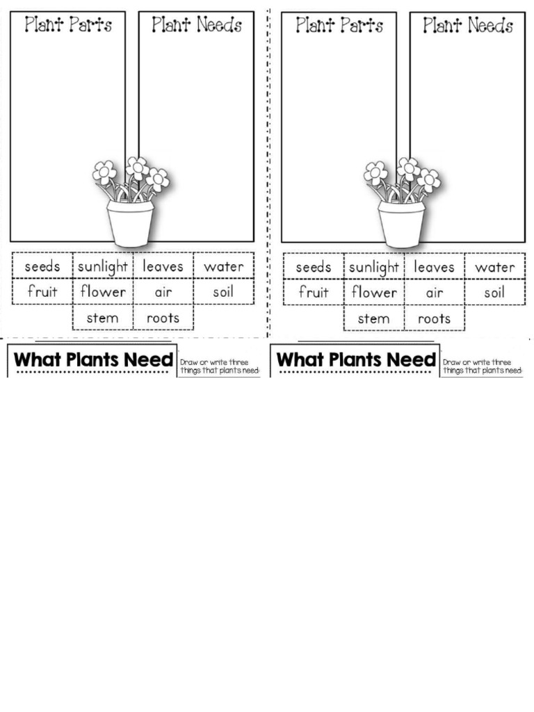 Read and Complete + Cut and Paste | PDF