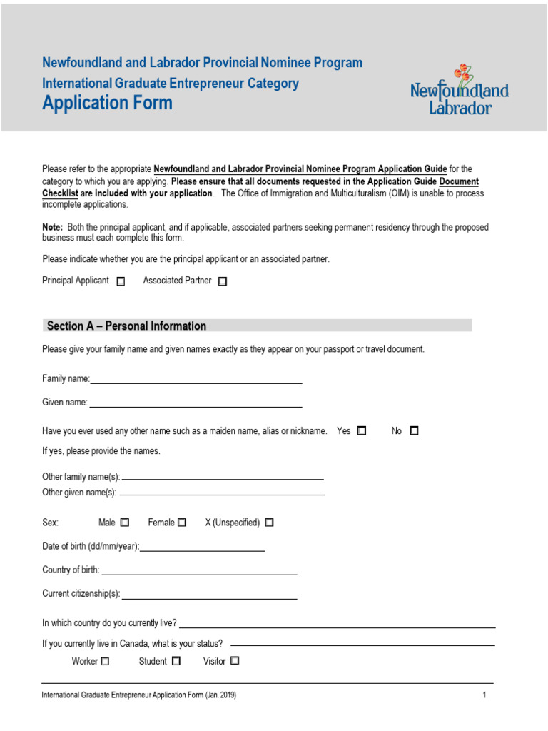 International Graduate Entrepreneur Form | PDF | International English ...