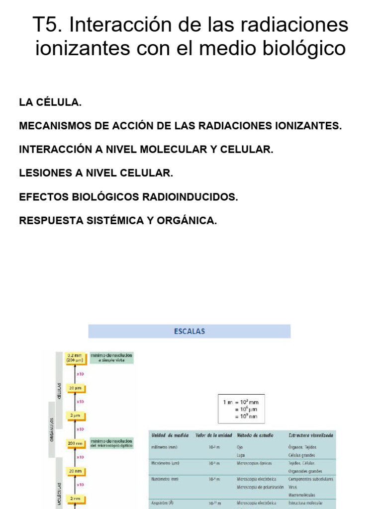 Presentacion Tema 5 Interaccion Rrii Con Medio Biológico | PDF