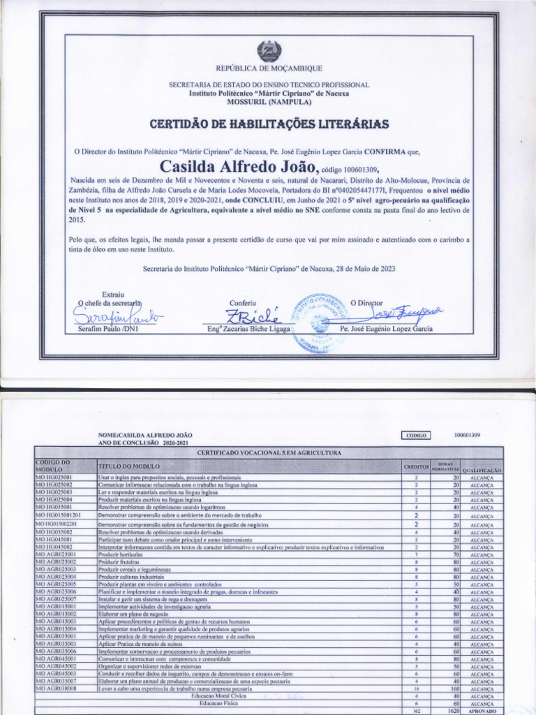 Casilda Alfredo João CV5 | PDF