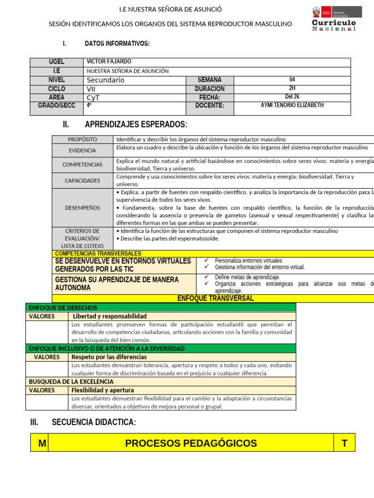 A-4º Ses Act 2-Cyt-Und 5 | PDF