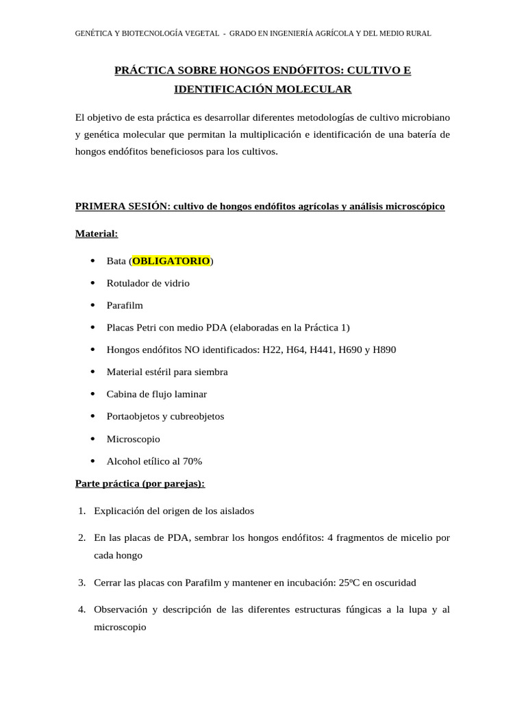 Práctica 4 - Cultivo de Hongos Endófitos, Extracción de Adn, PCR y ...