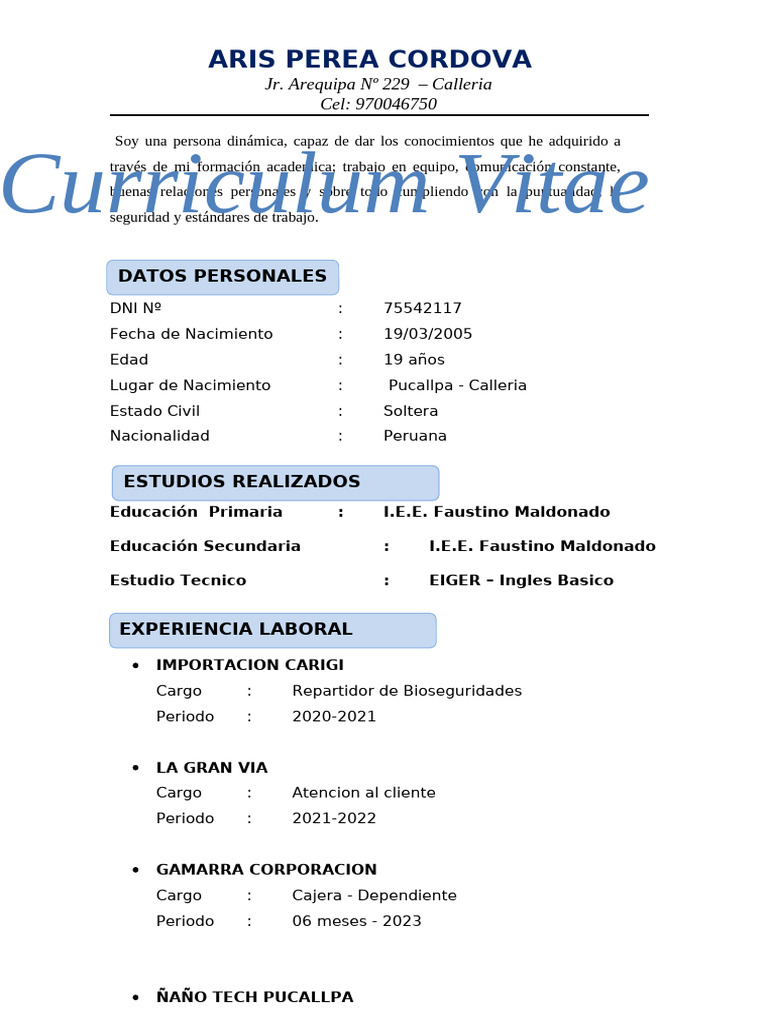 cv ARIS PEREA CORDOVA | PDF