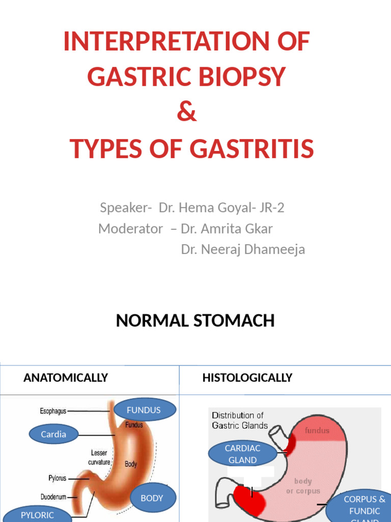 Interpretation of Gastric Biopsy | PDF
