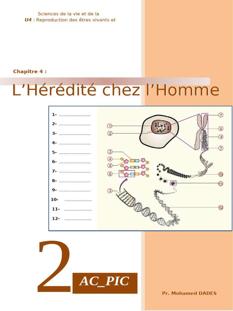 L Heredite Humaine Cours SVT 2AC 1 | PDF