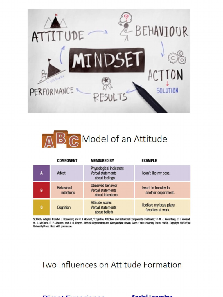 Attitudes | PDF