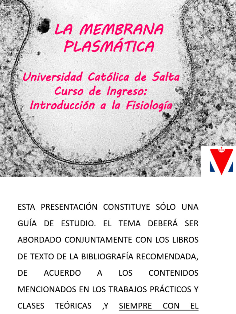 CLASE 2 MEMBRANA PLASMATICA | PDF