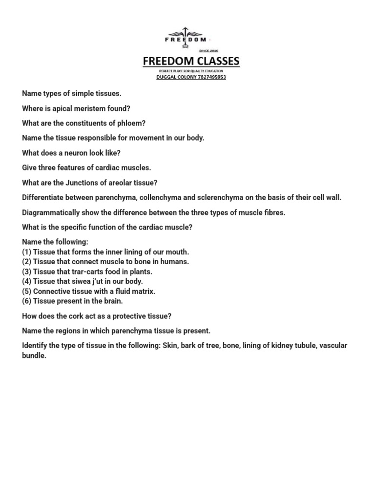 Name Types of Simple Tissues | PDF