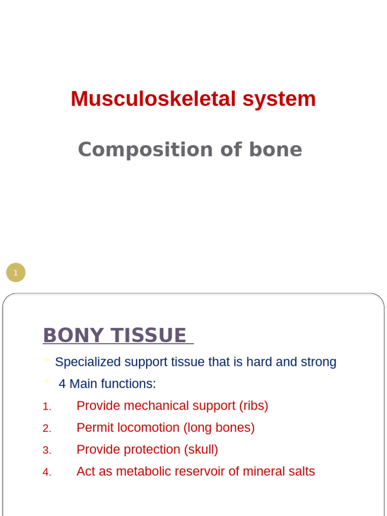 W003 L2 Structure of Bone MJB | PDF