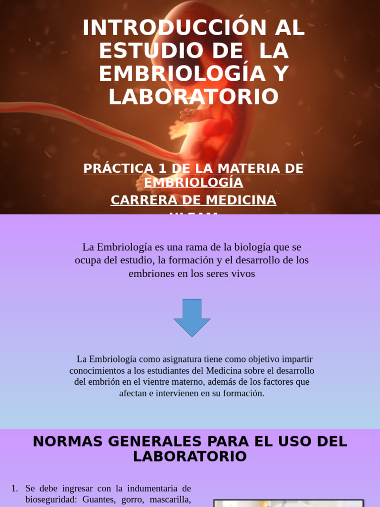 Practica Introduccion A La Embriologia | PDF