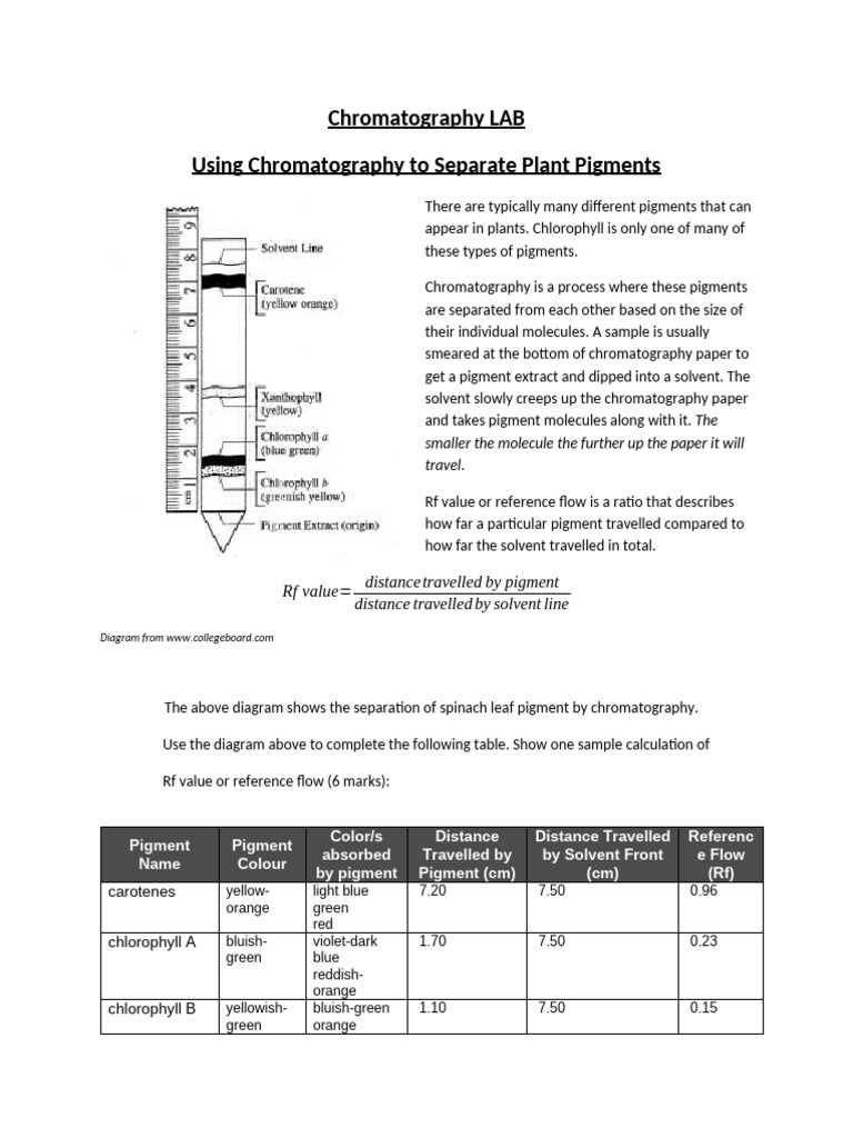 Chromatography of Plant Pigments | PDF | Chloroplast | Science ...