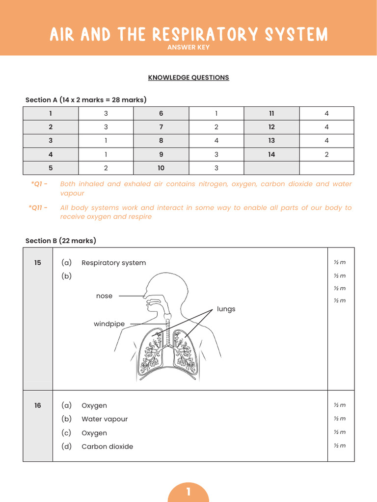 Book 2 Chapter 1 Air and the Respiratory System - Answer Sheet (301223 ...