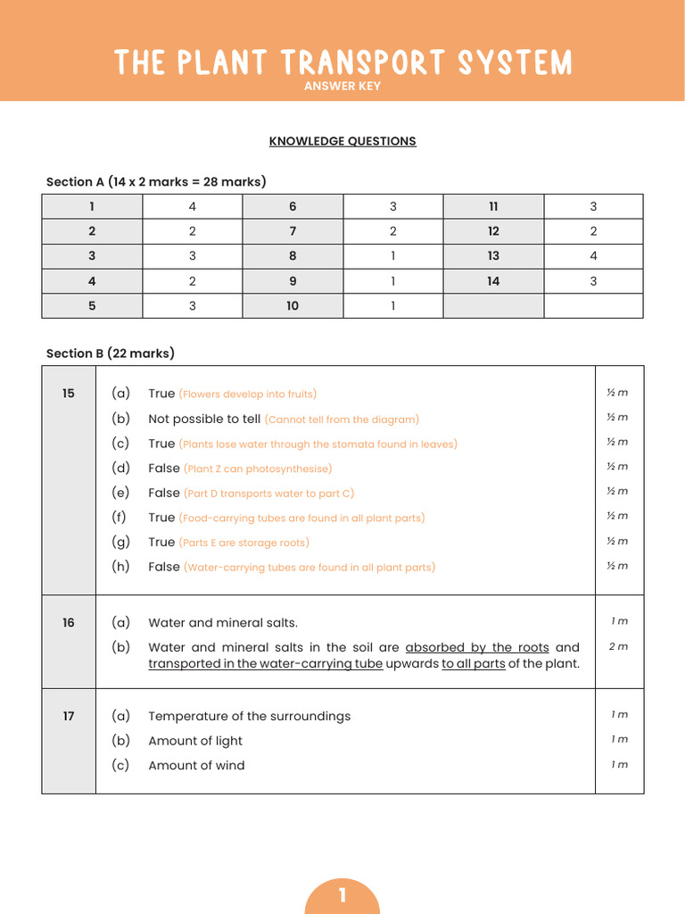 Book 2 Chapter 3 The Plant Transport System - Answer Sheet (311223) | PDF