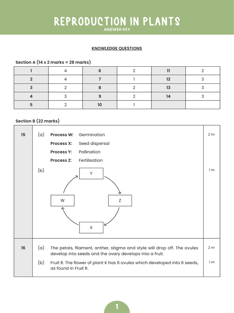Book 1 Chapter 3 Reproduction in Plants - Answer Sheet (311223) 2 | PDF