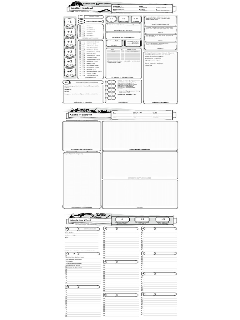 Feuille de Personnage Dungeons & Dragons - D&D 5 | PDF