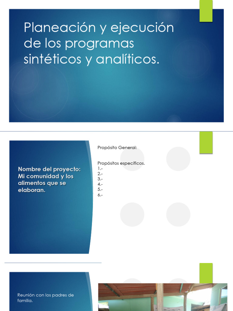 Planeación y Ejecución de Los Programas. | PDF