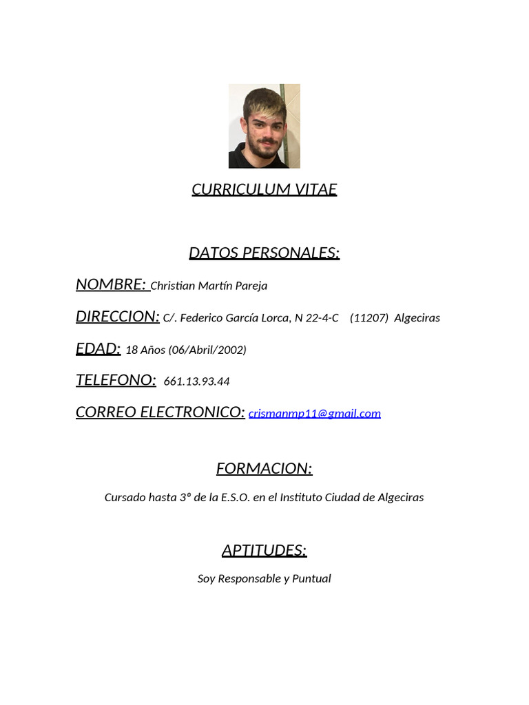 CURRICULUM VITAE CRISTIAN | PDF