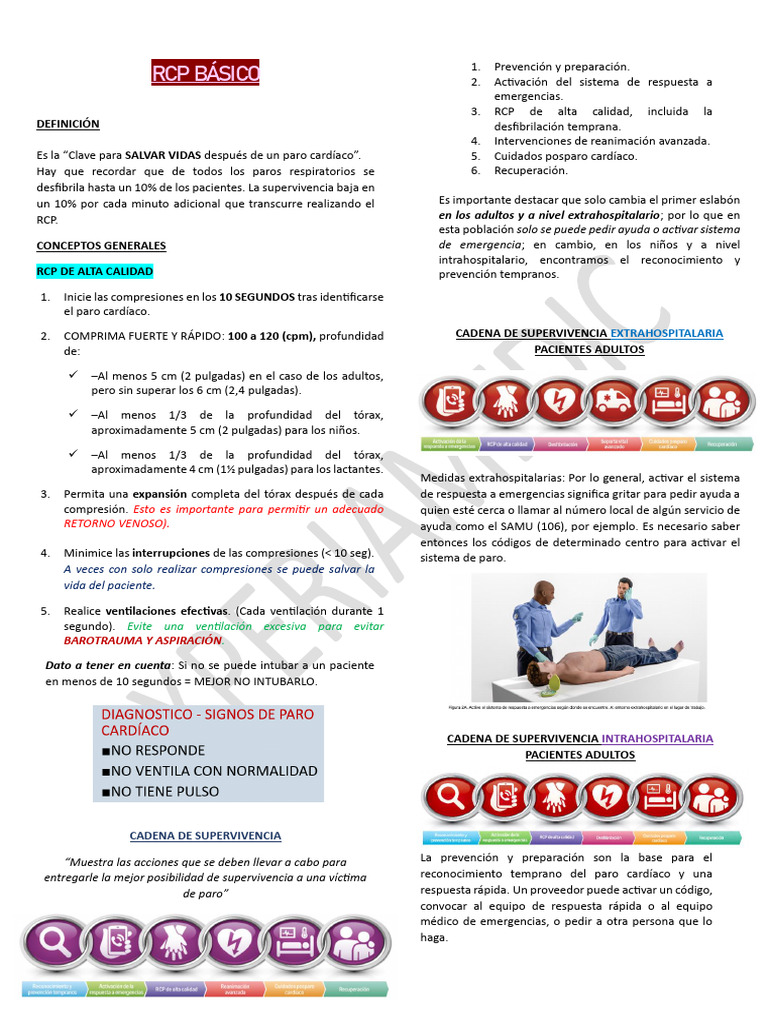 7. RCP BÁSICO | PDF