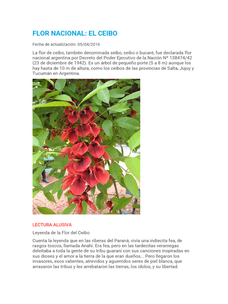 Leyenda de La Flor Del Ceibo | PDF | Poesía