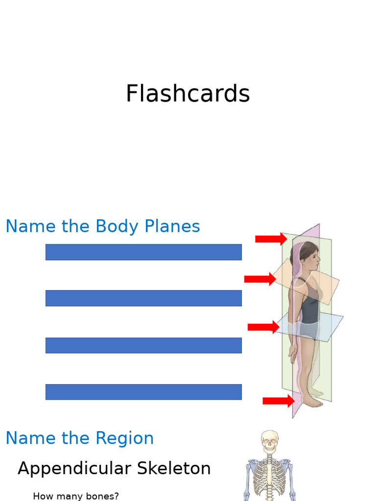 Flashcard Review 1 | PDF