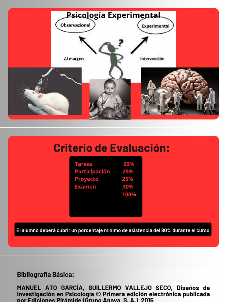Psicologia Experimental 17052024 | PDF