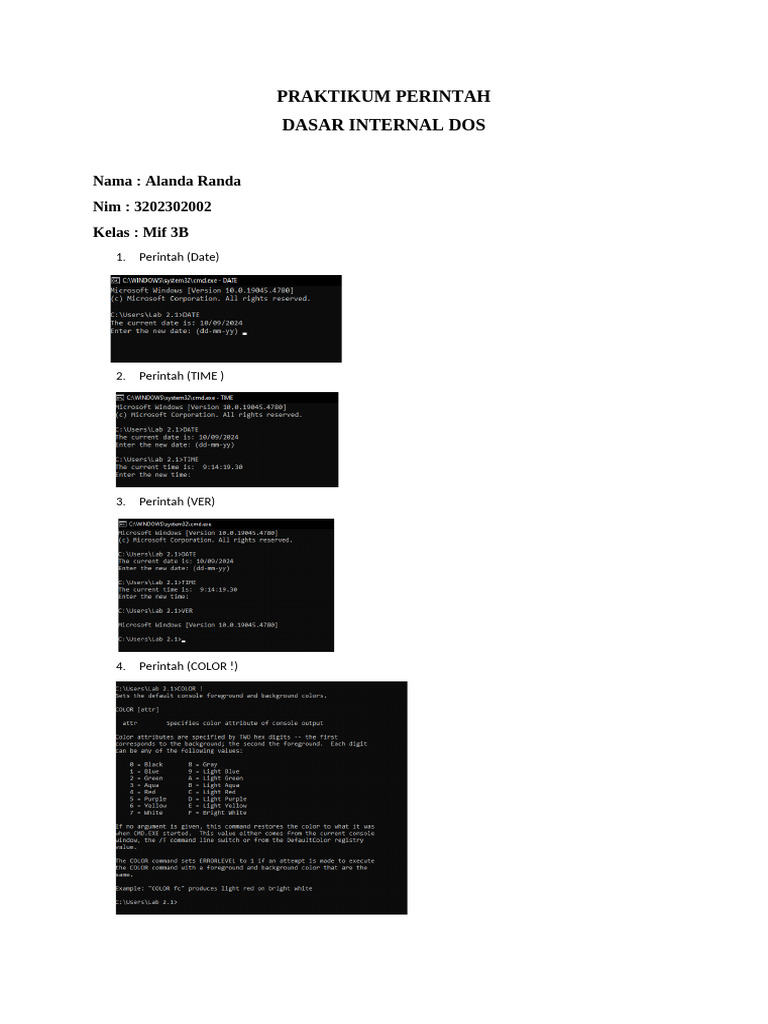 Alanda Randa Praktikum Dos Internal | PDF
