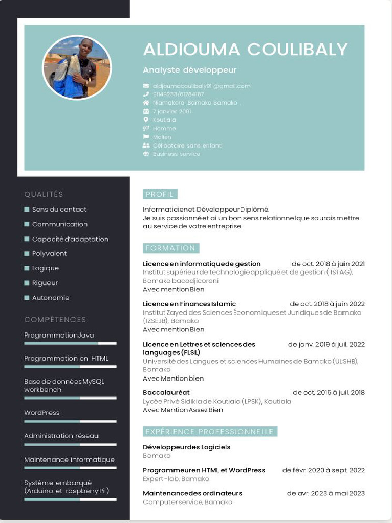 CV Moderne | PDF
